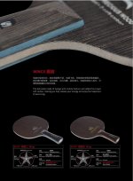 Sanwei Blade | TableTennisDaily