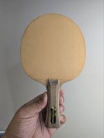 American vs Kiso Hinoki | TableTennisDaily