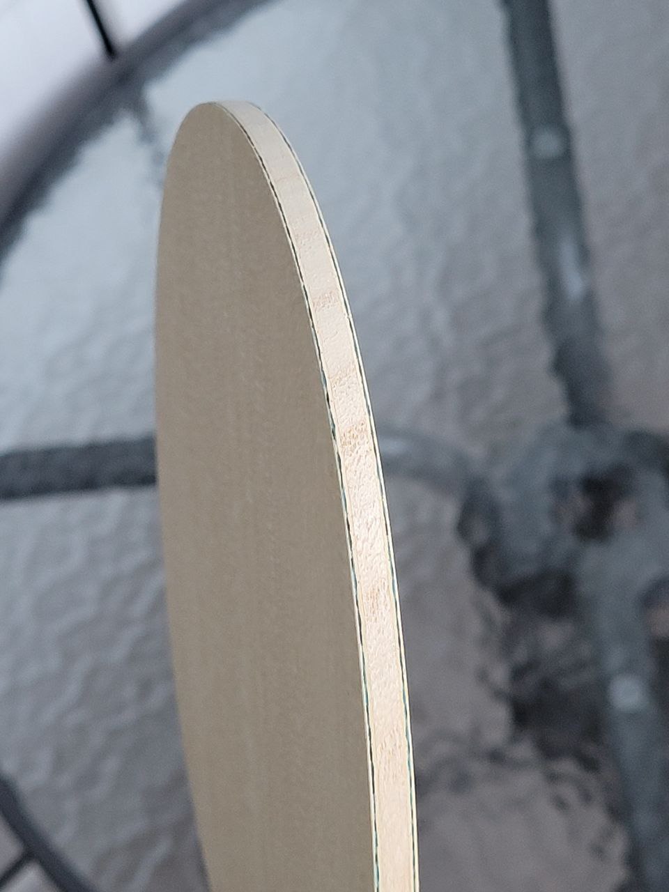 Donic Skachkov Carbon | TableTennisDaily