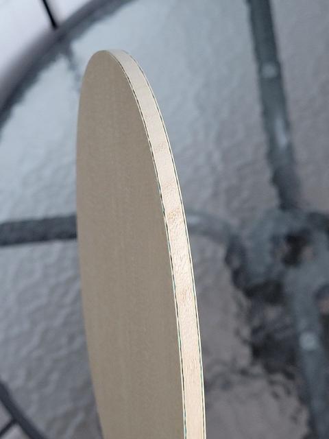 Donic Skachkov Carbon | TableTennisDaily