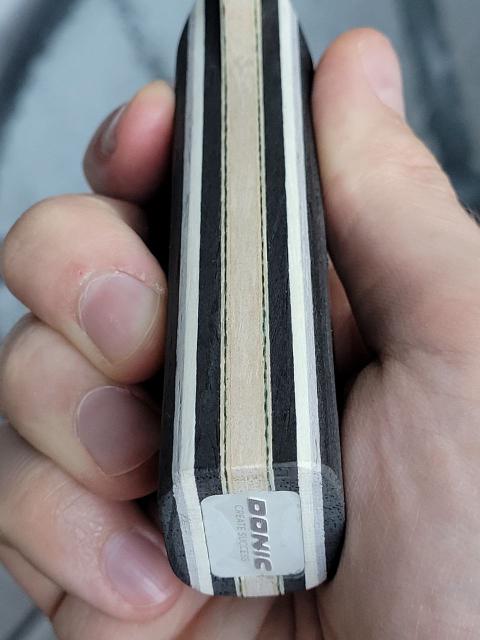 Donic Skachkov Carbon | TableTennisDaily