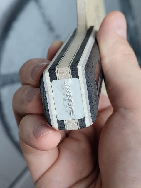 Donic Skachkov Carbon | TableTennisDaily